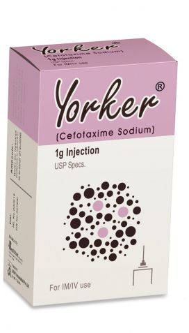 Yorker 1gm Injection 1 vial - Uses, Benefits, Side Effects